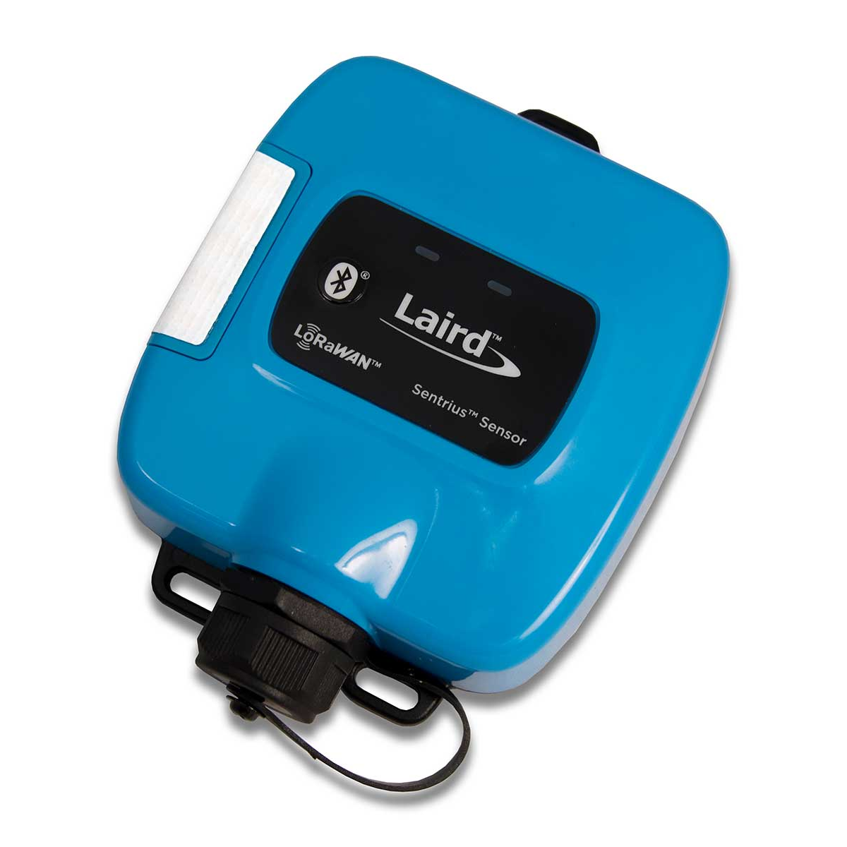 Laird External Temperature Probe - SensorWorks